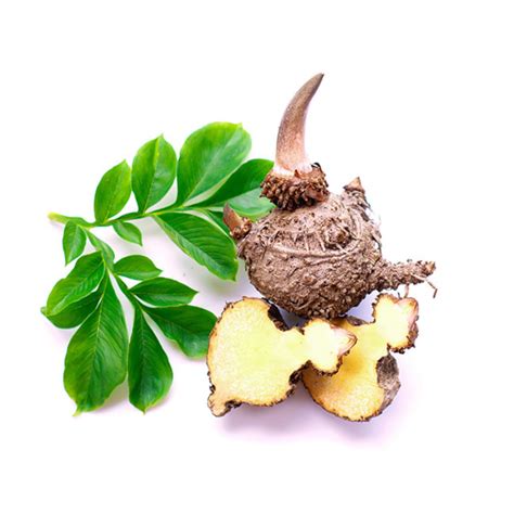 Konjac Fiber Weightboss