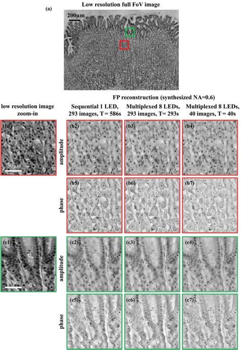 multiplexed coded illumination for fourier ptychography with an led