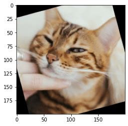 OpenCV python OpenCV 的剪裁旋轉縮放 改變大小 crop rotate resize