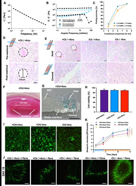 Material Characterization And Suitability For Printing A Variation
