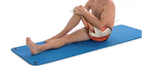 Top 5 Hip And Glute Stretches For Better Flexibility Deutschland