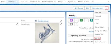 Sharing Rules In Salesforce And Its Types