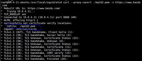 Ssl Certificate Curl Proxy And Sslcertfile Environment