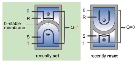 soft non volatile memory for non electronic information storage in soft