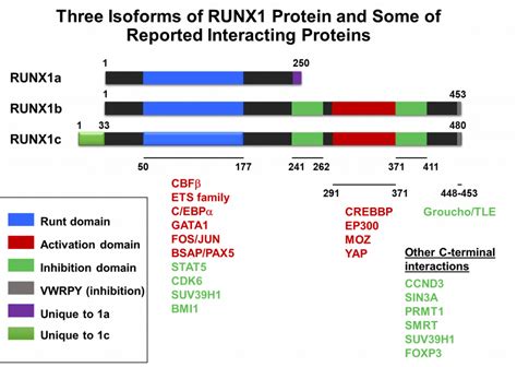Research The Zhang Lab