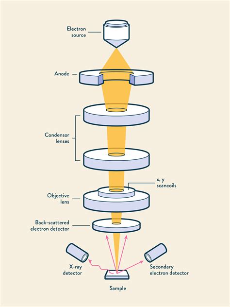 sem vs tem technology networks
