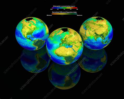 Global Chlorophyll Distribution Stock Image C0233017 Science