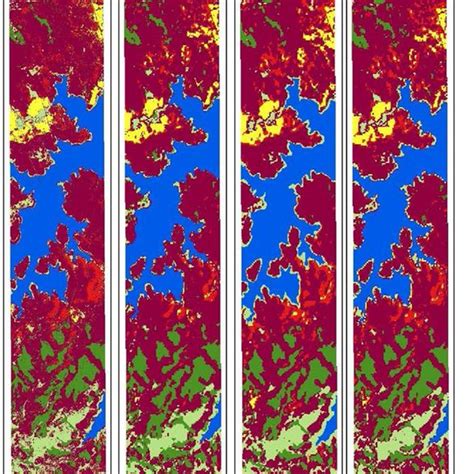 The Sentinel 1 And Sentinel 2 Classified Maps Of Native And Non Native Download Scientific The Sentinel 1 And Sentinel 2 Classified Maps Of Native And Non Native Download Scientific