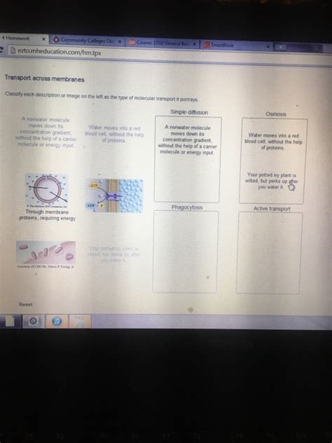 solved classify each description or mage on the left as t