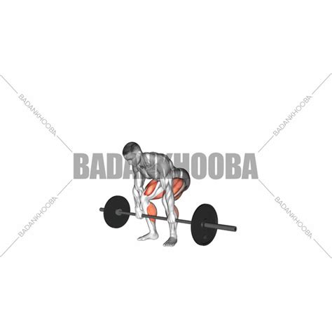 ددلیفت هالتر ویدیو و نکات آموزشی