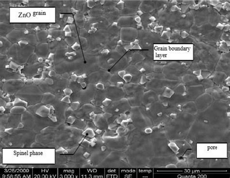 Zno Microstructure Diagram Of Varistor Download Scientific Diagram