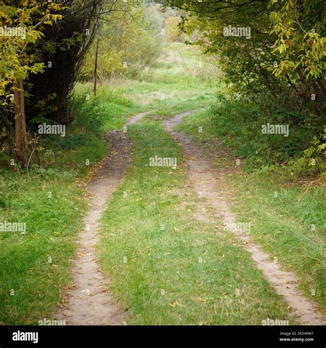 A Grass Path Between Green Trees In The Forest Stock Photo Alamy