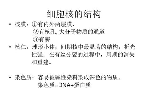 高一生物细胞核的结构和功能2 Word文档在线阅读与下载 无忧文档