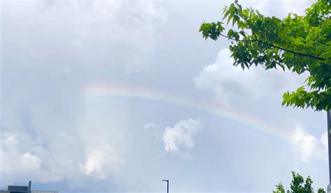 This Partial Rainbow Rmildlyinteresting