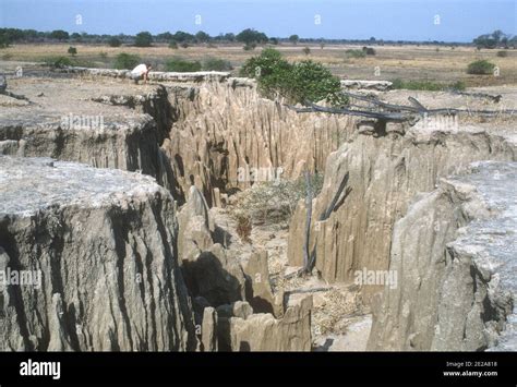 Serious Gully Soil Erosion South Luangwa National Park Zambia Stock