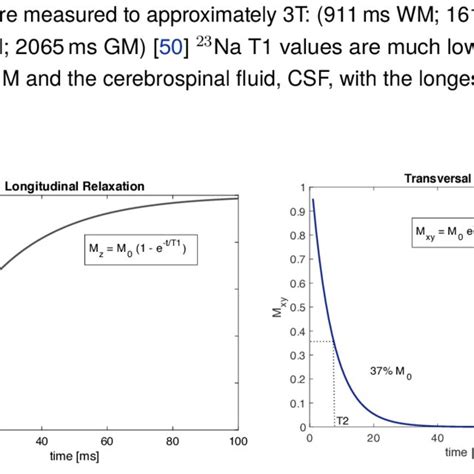 1 Transversal And Longitudinal Relaxation After An Excitation With A Download Scientific