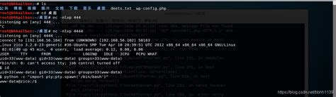 小白学习ctf第十一天 Web安全提权ctf Mv提权 Csdn博客 小白学习ctf第十一天 Web安全提权ctf Mv提权 Csdn博客