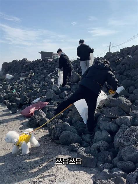 Plog ㅣ 제주 신촌환해장성 플로깅 플로그 Youtube