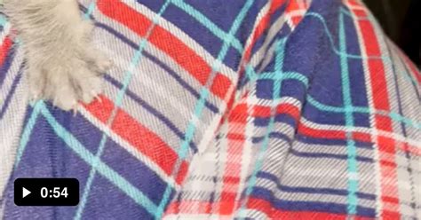 Day 14 Gave Us The Last Feature Profile Introducing The Fabulous Five