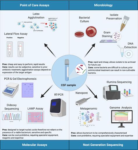 Bacterial Infection Test At Michelle Peckham Blog
