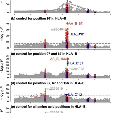 HLA Nomenclature Description Of A Classical HLA Allele Using Current Download Scientific