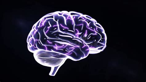 3d Animation Of The Emergence Of Neural Connections In The Human Brain Stock Footage Video Of