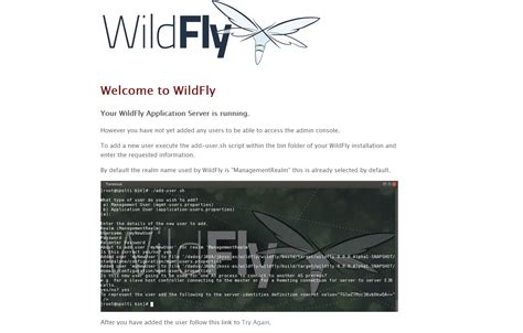 Java开源服务器wildfly 学习软件编程