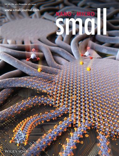 Mixed‐dimensional Heterostructures Mixed‐dimensional In‐plane Heterostructures From 1d Mo6te6