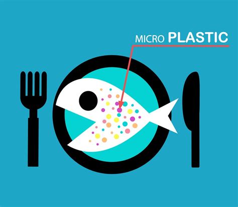 How Dangerous Is It For Humans To Ingest Microplastics