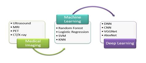 medical imaging with ml and dl download scientific diagram