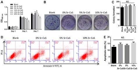 Effects Of Sr Cas On Bmsc Proliferation And Apoptosis At 7 Days After