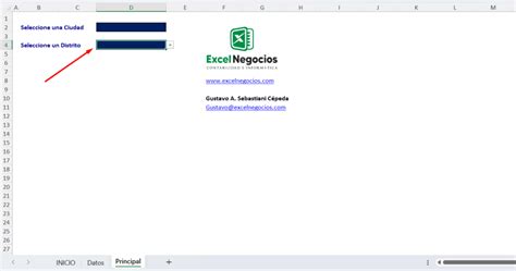 Listas Desplegables Dependientes Validación De Datos Excel Negocios