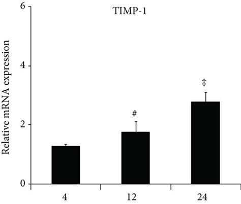 Inh Rmp Treatment And Liver Fibrosis In Mice Quantitative Rt Pcr