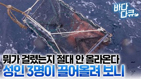 절대 안 올라오는 통발 포기 않고 선원들 모여 끌어올렸더니 이건 진짜 대물이다 사람만 한 대왕 문어 등장 바다다큐 Youtube