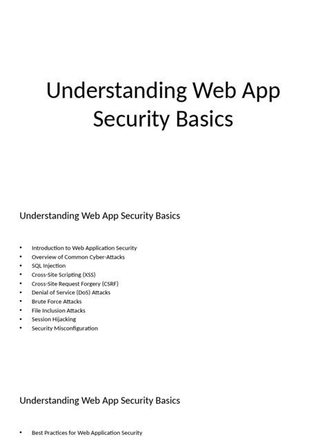Understanding Web App Security Basics Pdf Computer Security Security