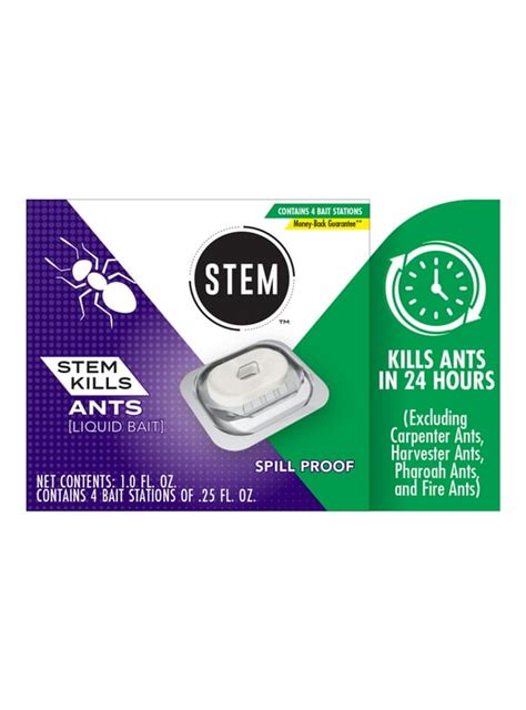 Roach Bait And Trap In Roach