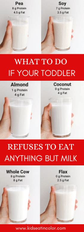 What Milk Does A 1 Year Old Need