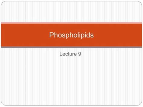 Biochemistry Lecture Notes Proteins Ppt