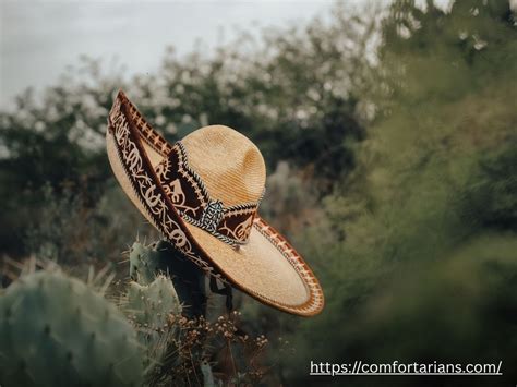 Comfortarians Hats