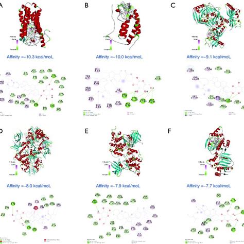 The Detailed Flowchart Of Network Pharmacology And Molecular Docking To