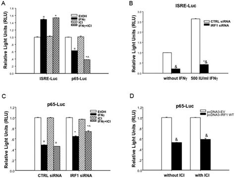 Interferon Gamma Restores Breast Cancer Sensitivity To Fulvestrant By Regulating Stat1 Irf1