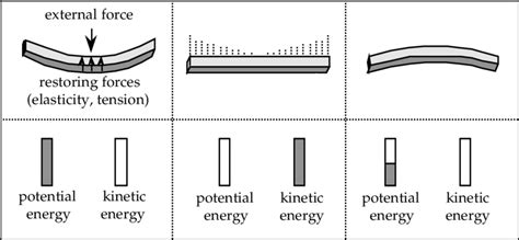 External Forces