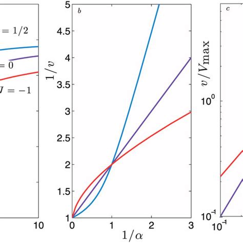 Velocity Of Reactions Versus Substrate Concentration α These Plots