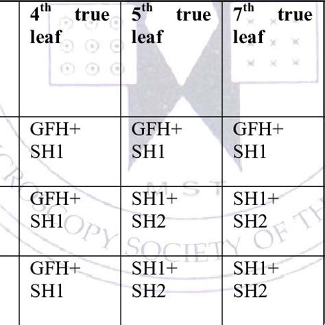 Types Occurred On Surface Of Stem And Leaf At Different Stages Of Download Scientific Diagram