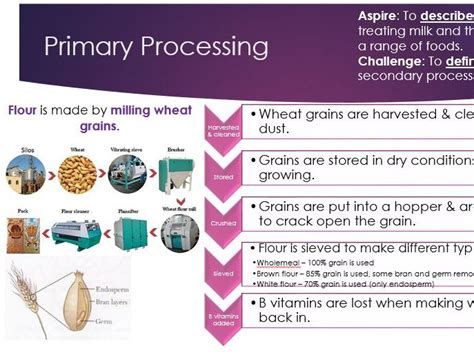 Primary And Secondary Processing Revision Teaching Resources