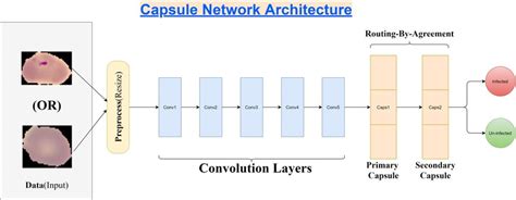 The Figure Illustrates Complete Architecture Of Proposed Capsule