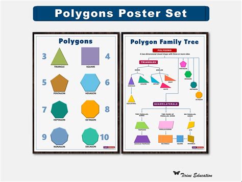 Polygons Poster Set Maths Poster Elementary Primary Educational