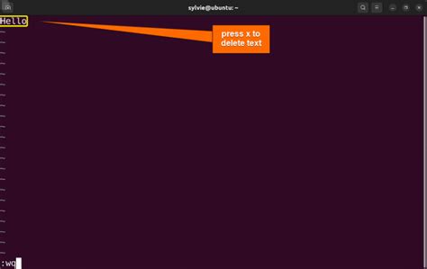 The Vi” Command In Linux 6 Practical Examples