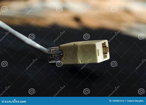 Ethernet Cables Plugged In Stock Photo Image Of Cable 109481412