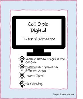 Cell Cycle Virtual Activity By Simple Science For You TPT